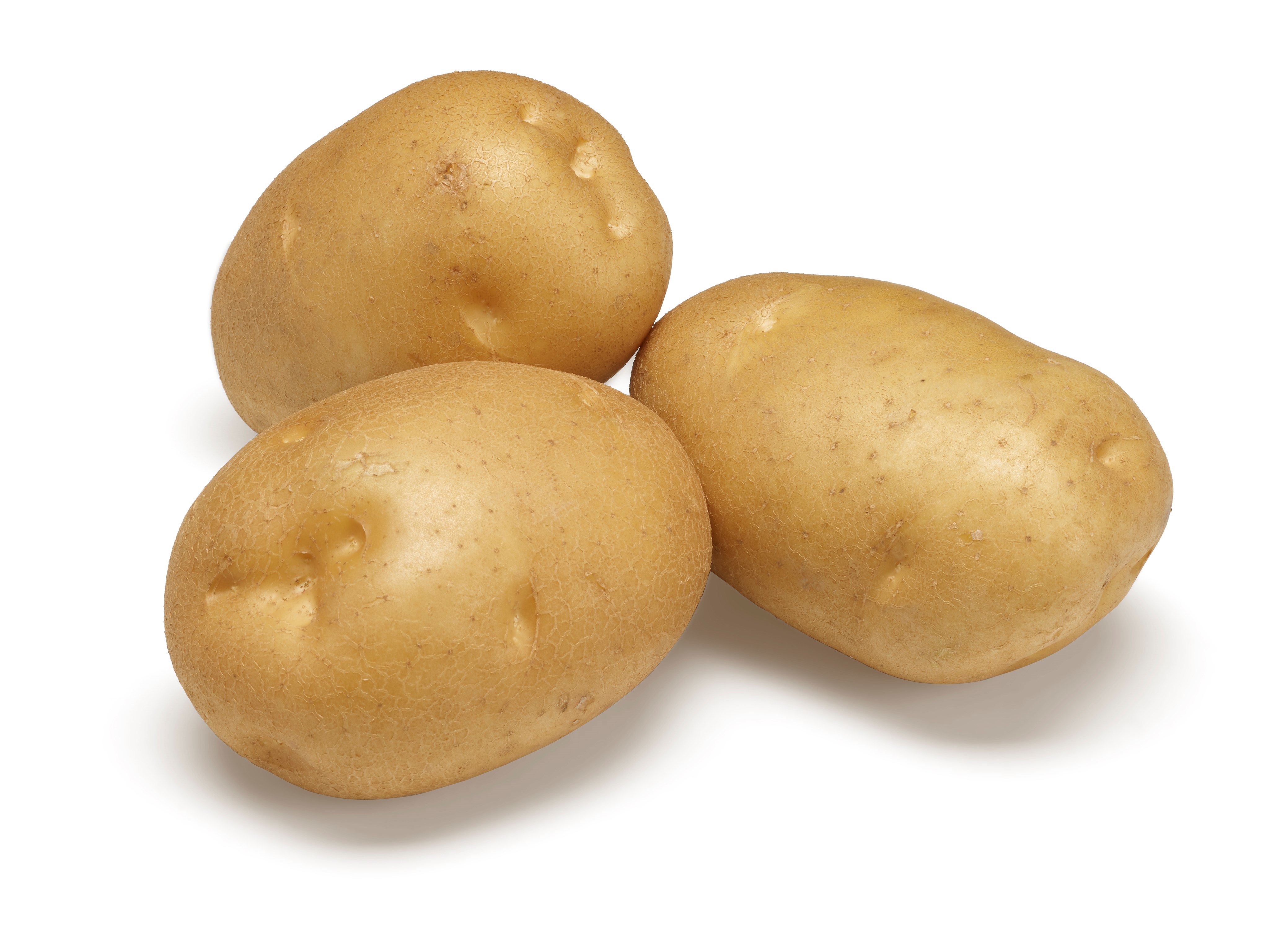Marfona | Agrico UK potato varieties