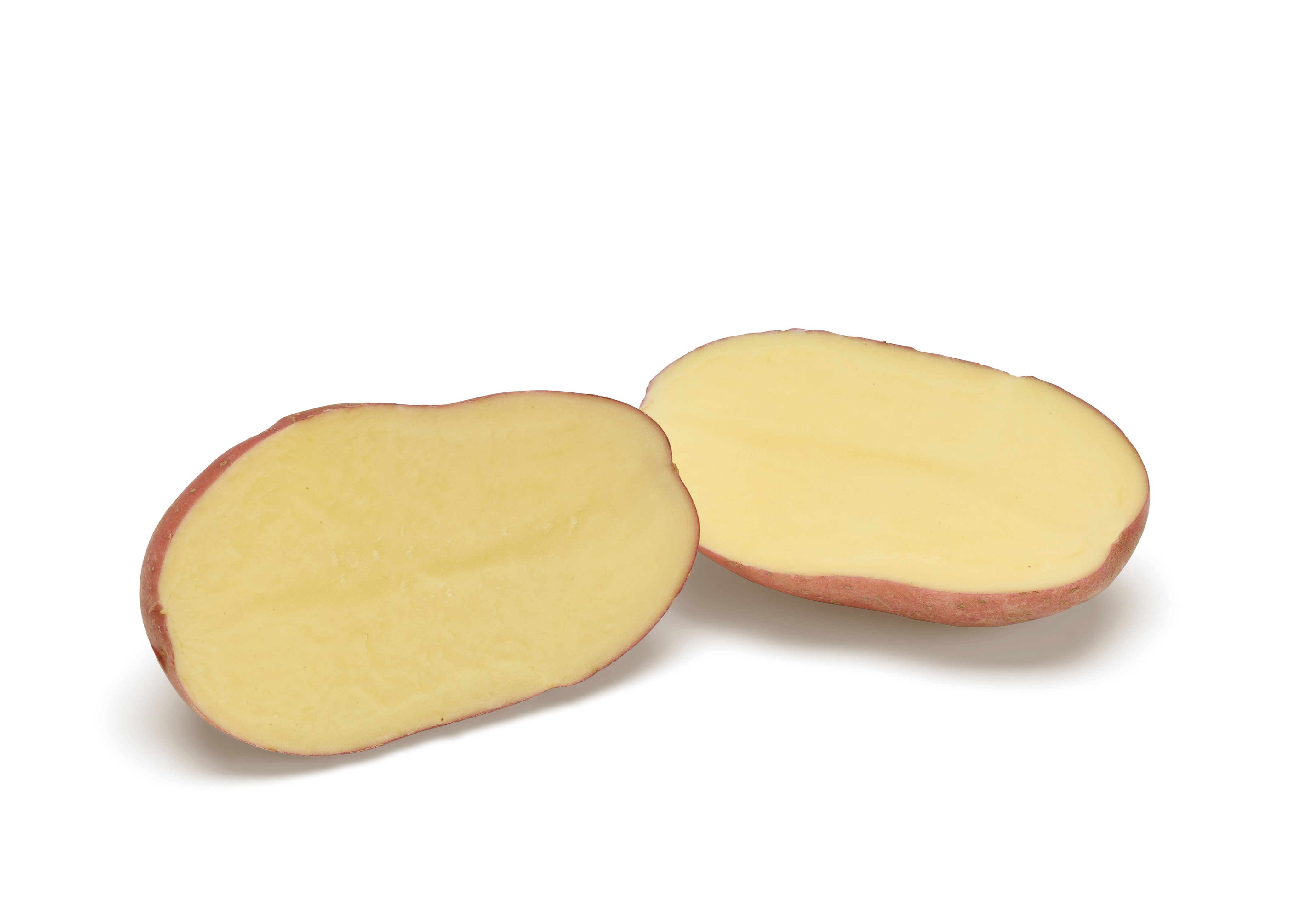 Alouette, a Next Generation potato variety | Agrico UK