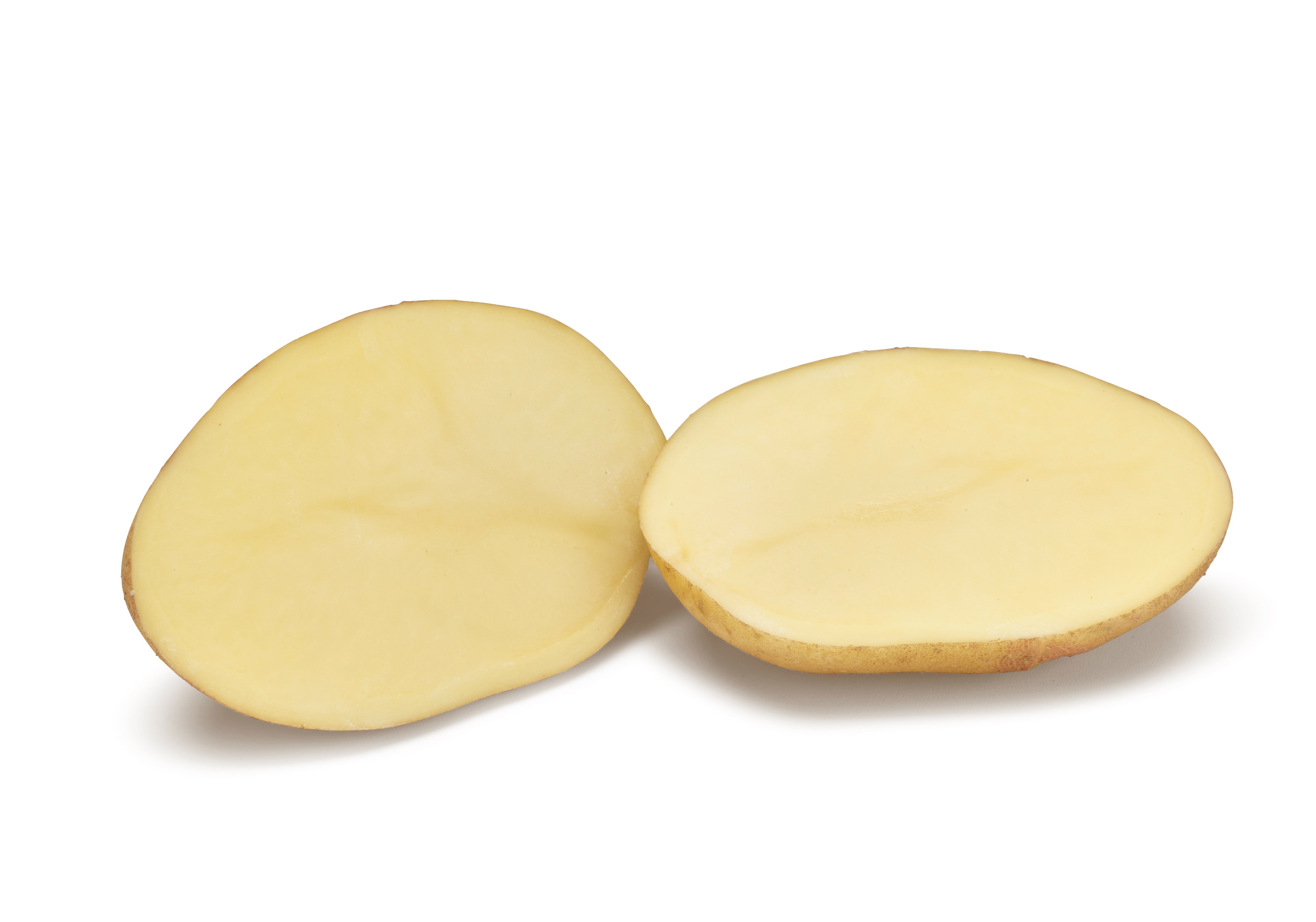 Picasso | Agrico UK potato varieties