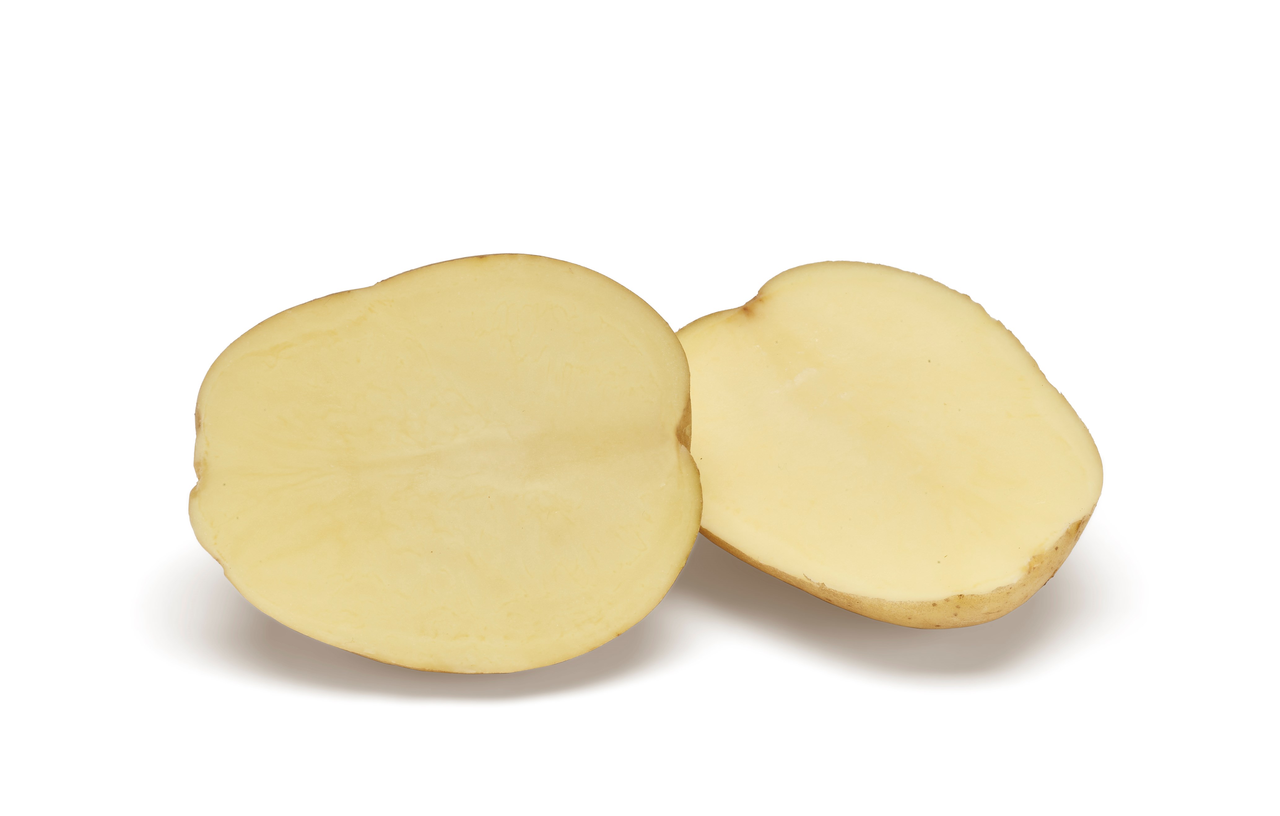 Marfona | Agrico UK potato varieties