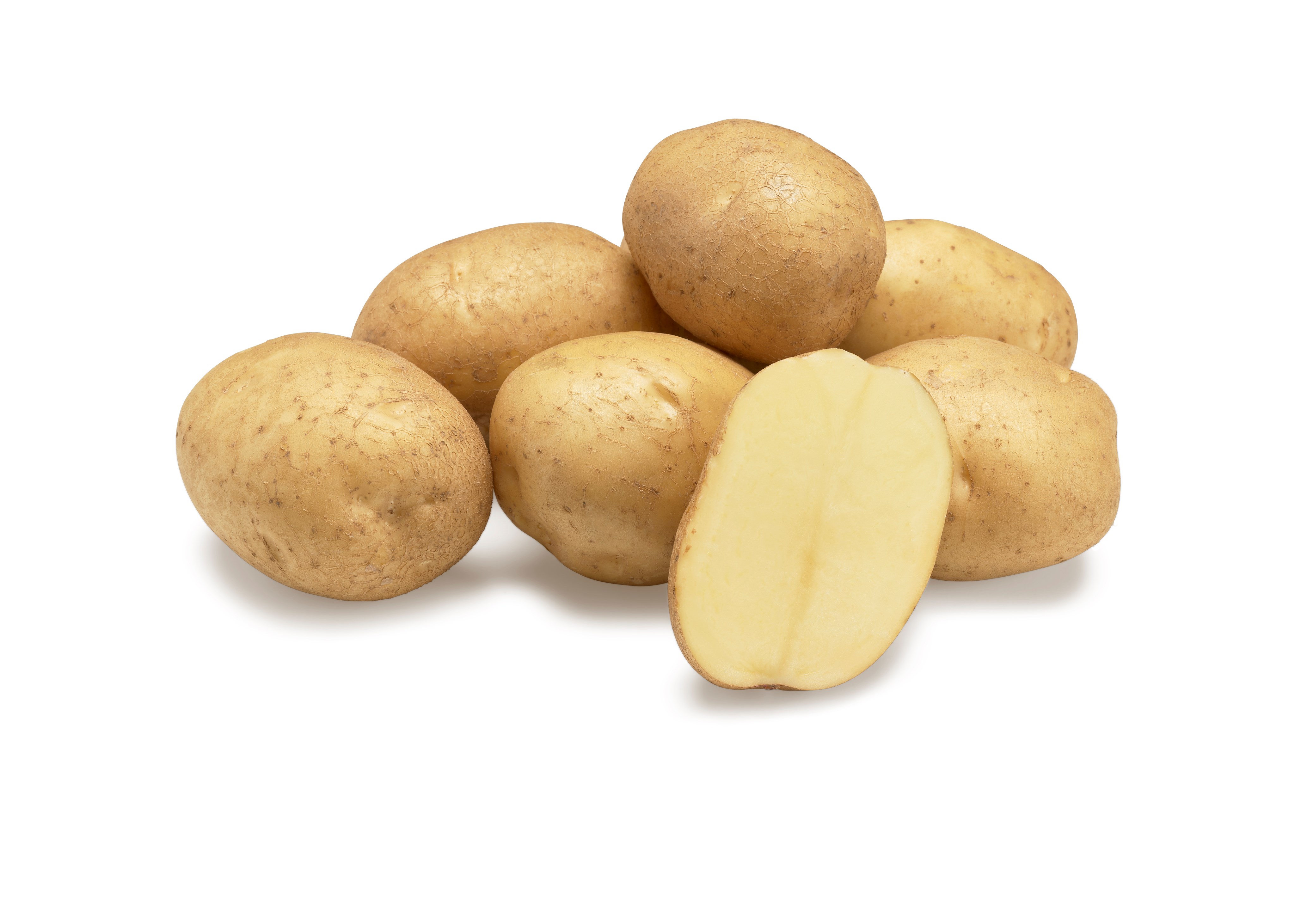 Marfona | Agrico UK potato varieties
